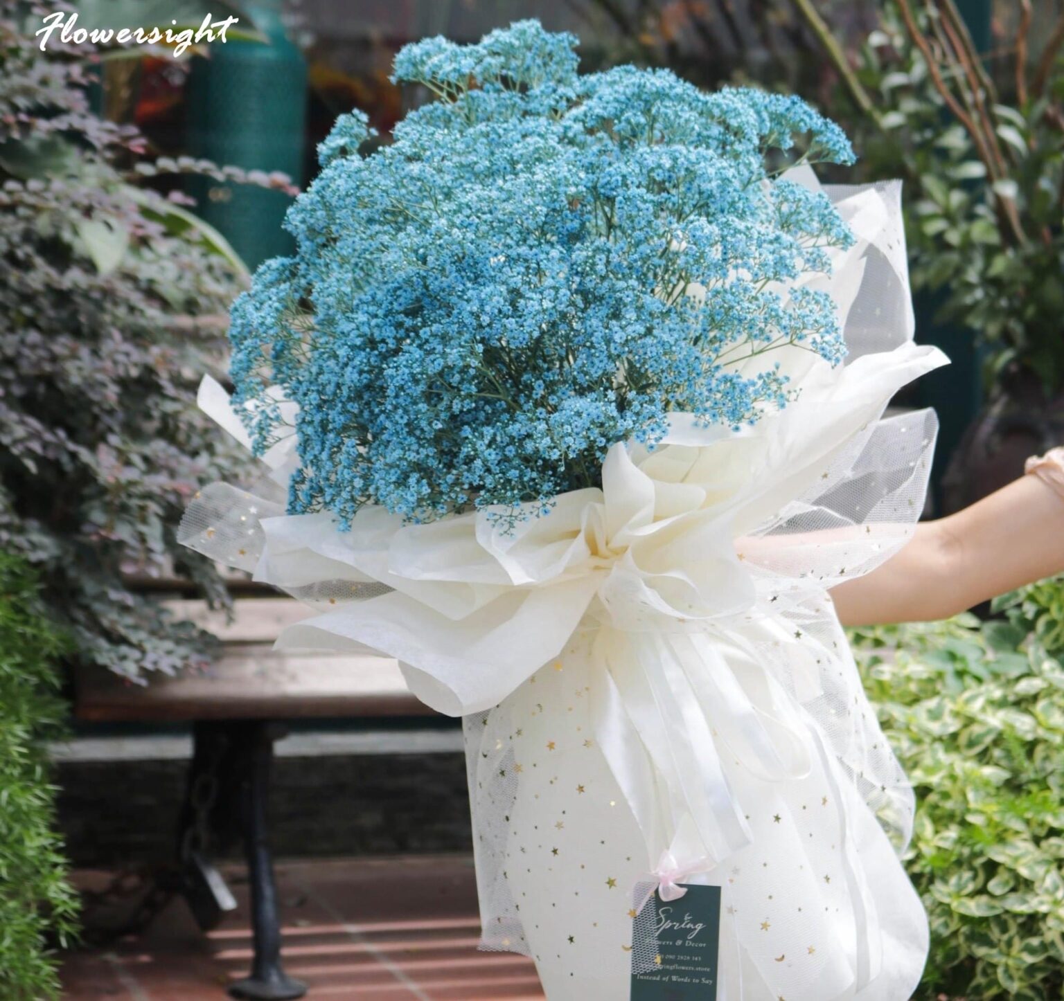 Bó Hoa Baby Xanh, Hoa Bi Xanh đẹp Mộng Mơ Tại FlowerSight